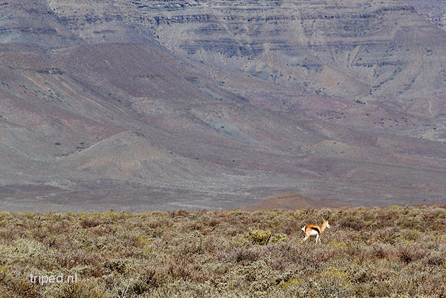 Tankwa Karoo National Park